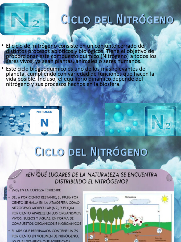 Ciclo Del Nitrógeno | PDF | Nitrógeno | Fertilizante