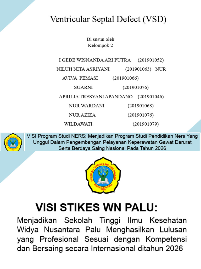 Ventricular Septal Defect (VSD) | PDF