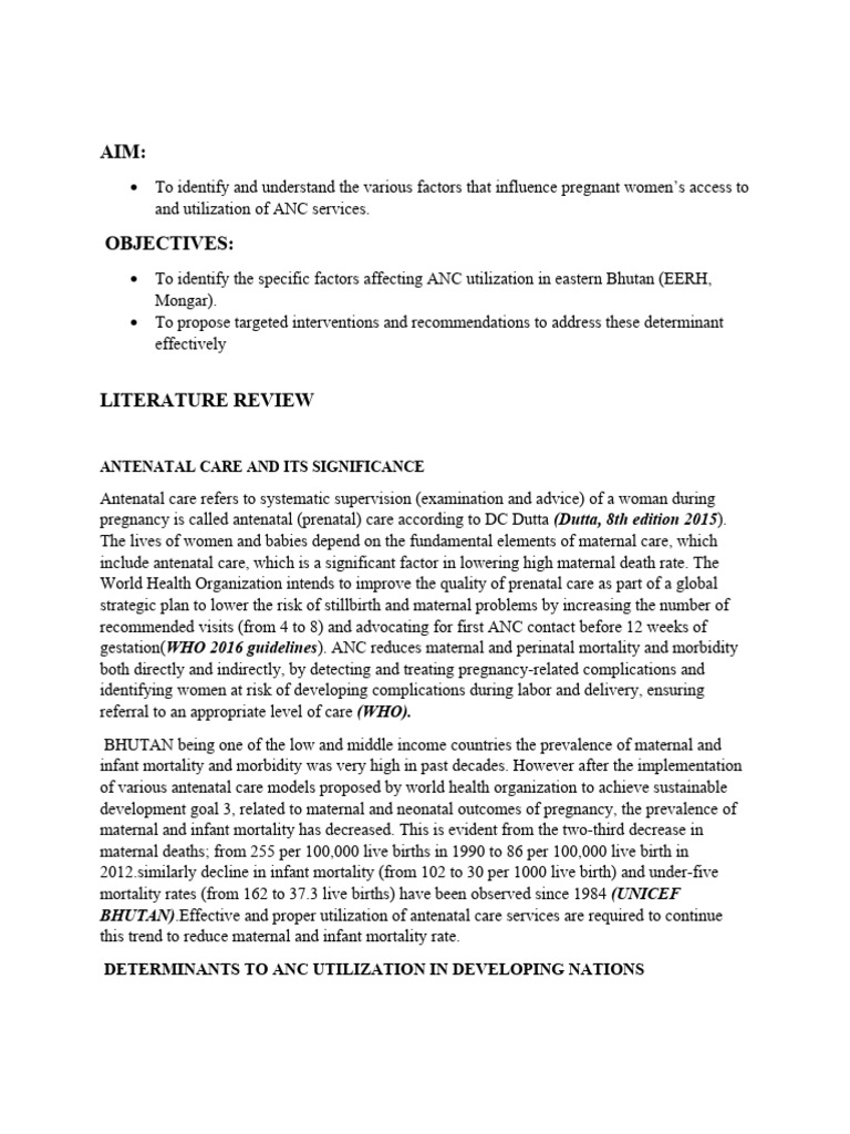 Literature Review | PDF | Maternal Death | Infant Mortality