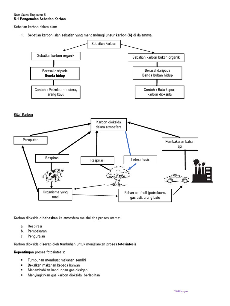 5.1 Pengenalan Sebatian Karbon | PDF