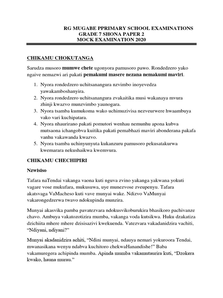 Grade 7 Shona P2 PP7B | PDF