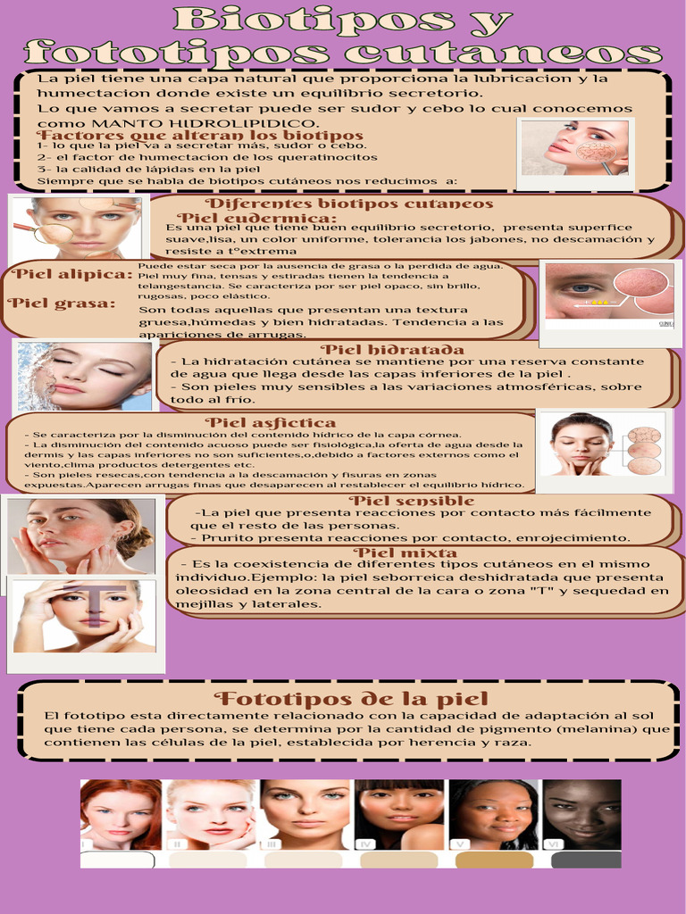 Infografía Sobre Los Biotipos y Fototipos de La Piel | PDF | Piel ...