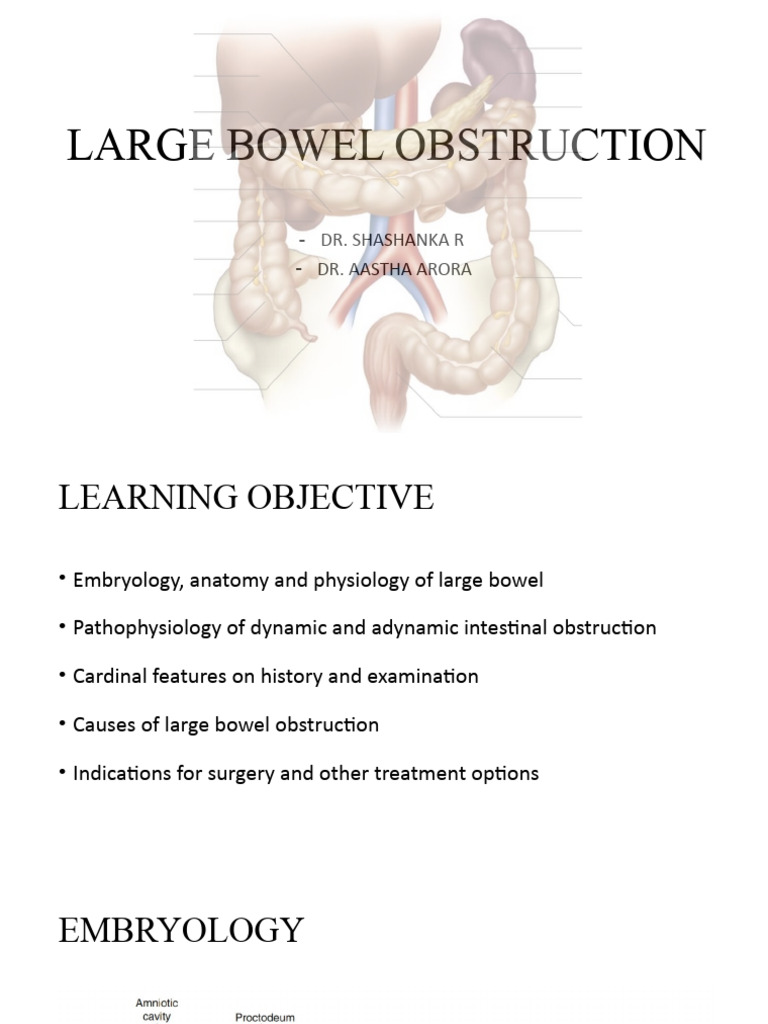 Large Bowel Obstruction | PDF | Surgery | Medical Specialties