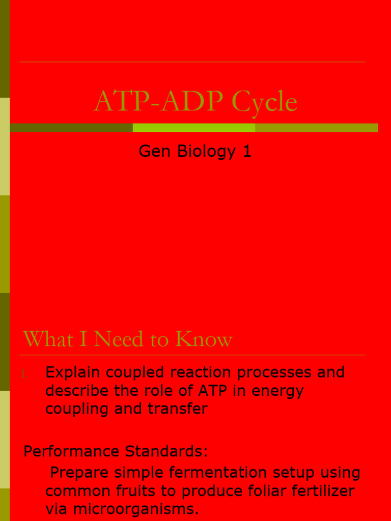 QTR 2 MOD 1 - ATP Production | PDF | Adenosine Triphosphate | Adenosine ...
