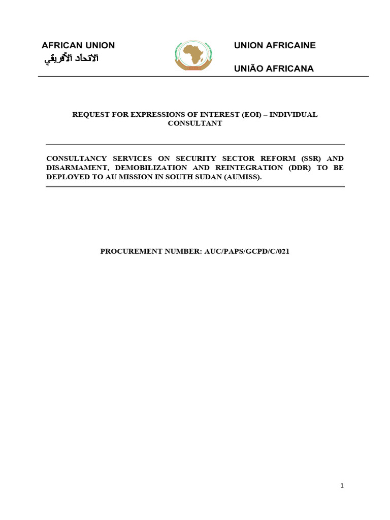 Rfp-Consultancy Services On Security Sector Reform SSR | PDF | African Union