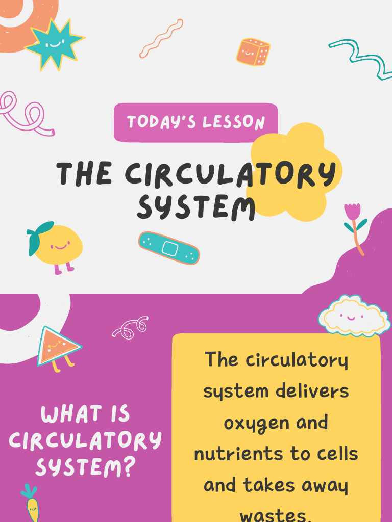 Lesson 3 Circulatory System | PDF