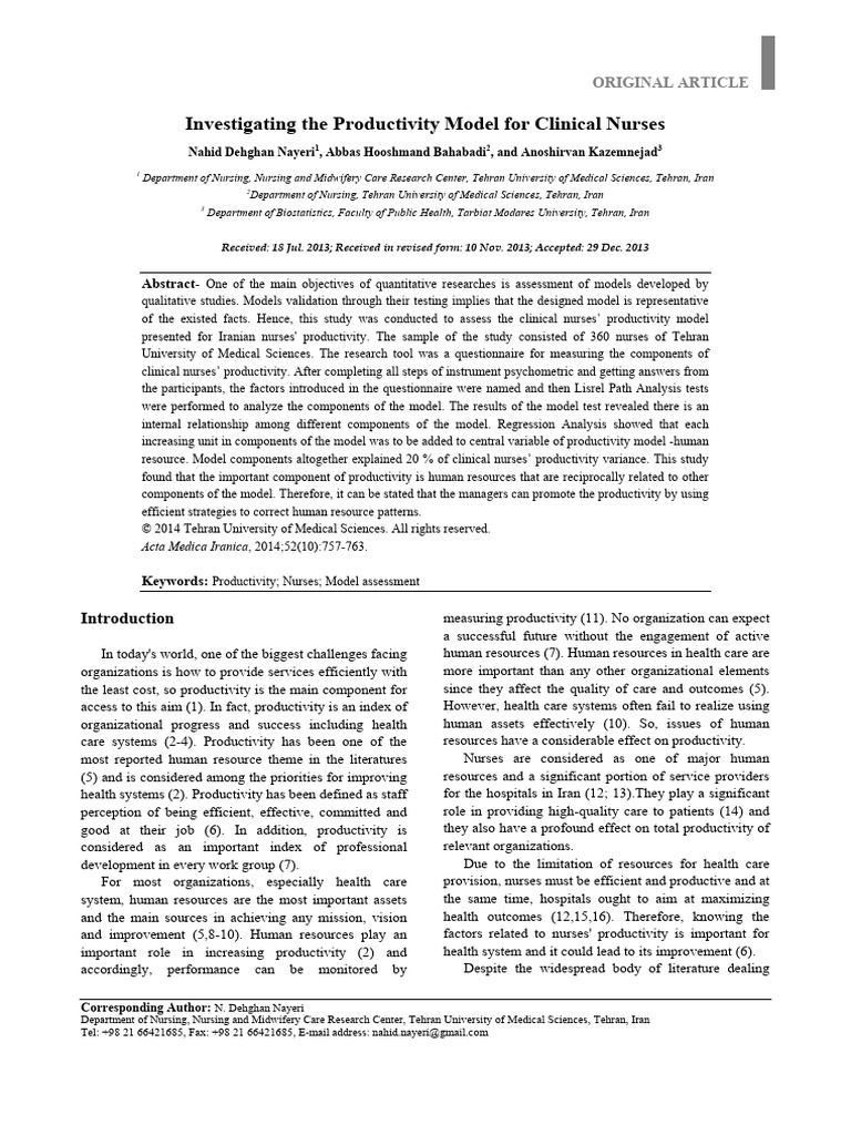 Investigating The Productivity Model For Clinical Nurses | PDF ...