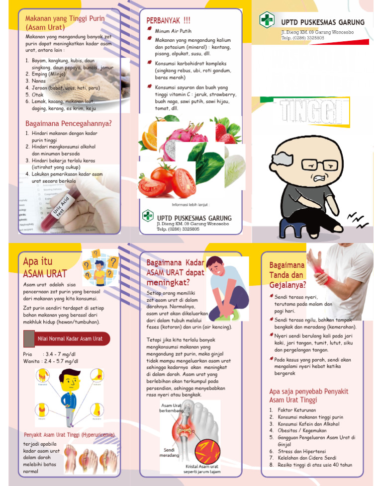 Brosur Asam Urat | PDF