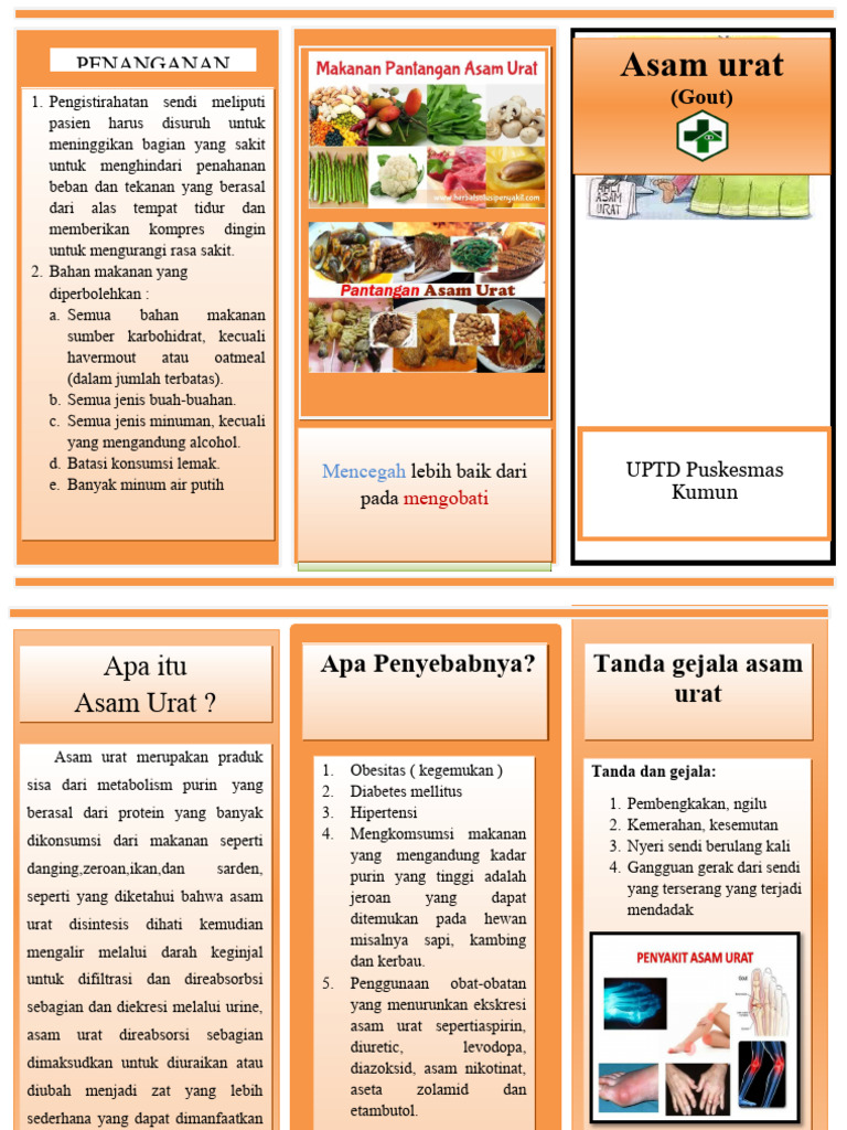 LEAFLEAT Asam Urat | PDF
