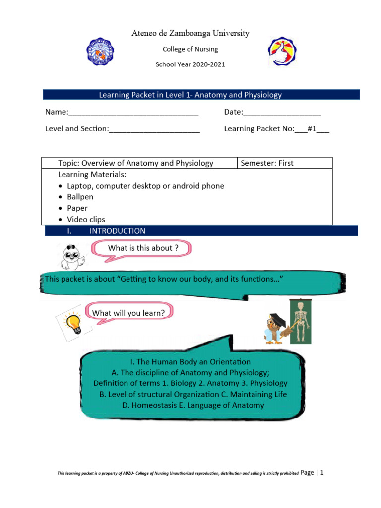 Packet Anatomy Week 1 | PDF | Anatomy | Human Body