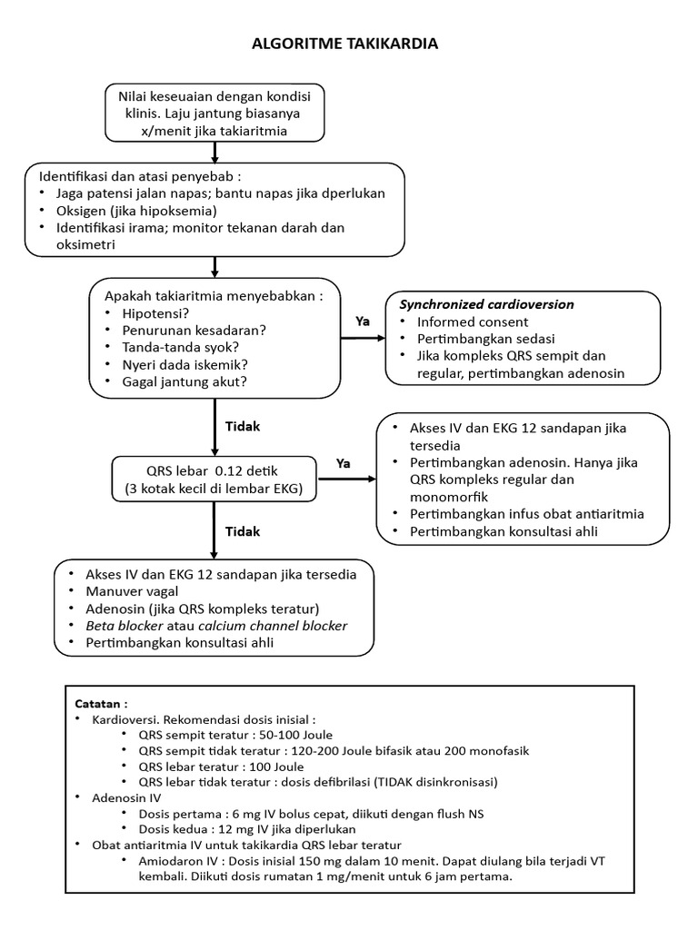 Algoritme Taki, Bradi | PDF