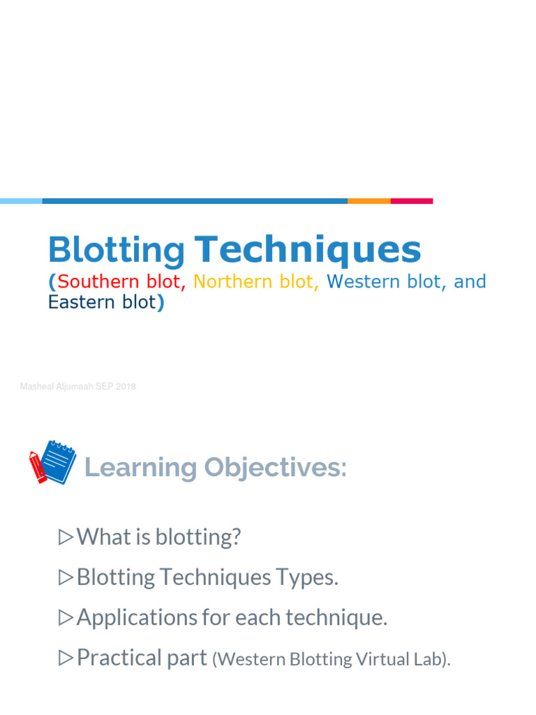 Blotting | PDF | Western Blot | Blot (Biology)
