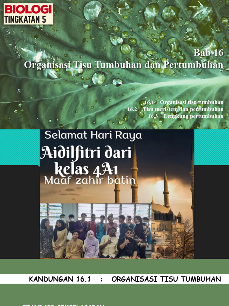 Bab 1 T5 | PDF