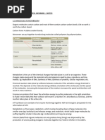 Enzyme Activity Lab Report - IB Biology | PDF | Enzyme | Catalase