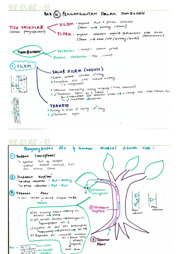 Bio F5 KSSM Bab 4 | PDF