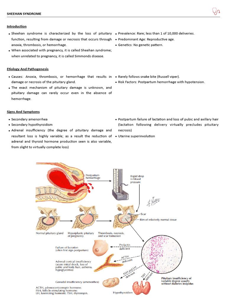 Sheehan Syndrome | Download Free PDF | Organ (Anatomy) | Medicine