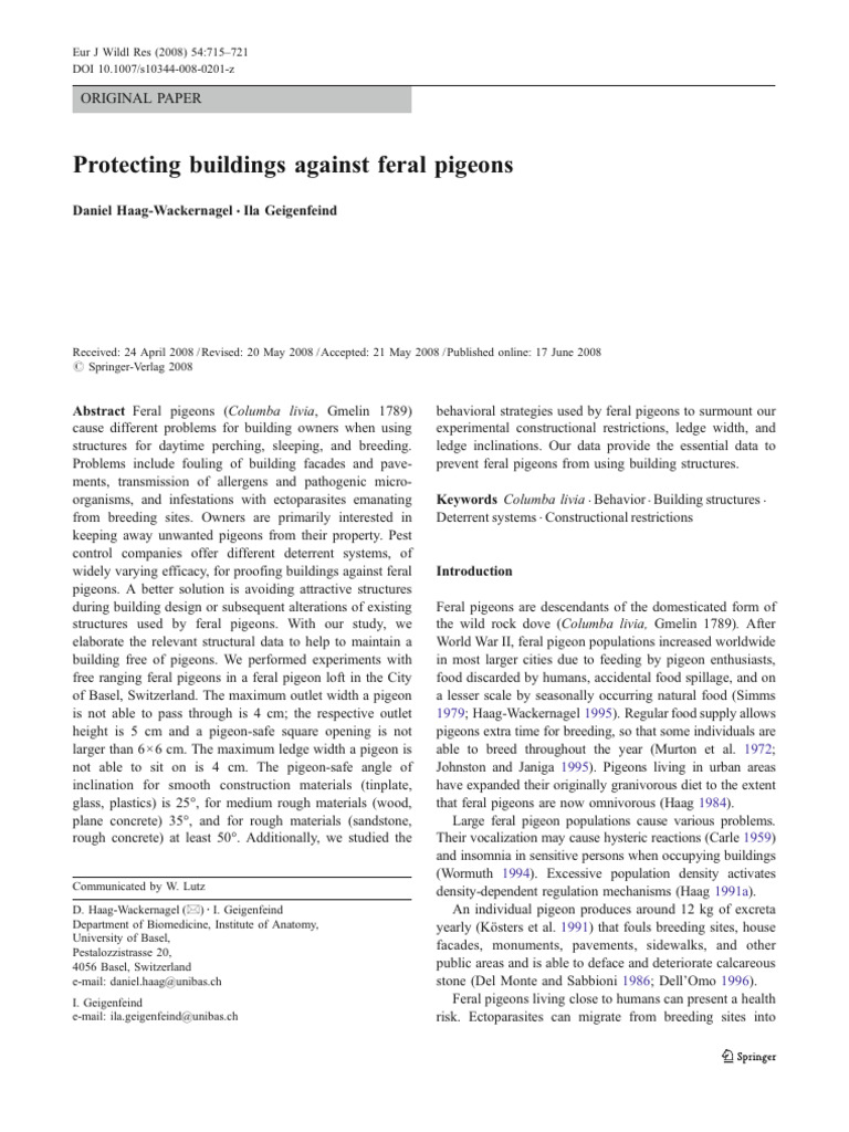Protecting Buildings Against Feral Pigeons | PDF