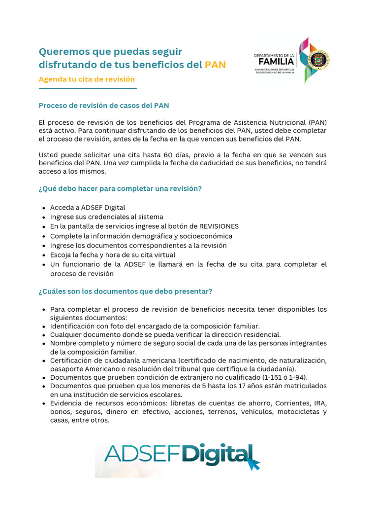 Proceso de Revisión Pan | PDF