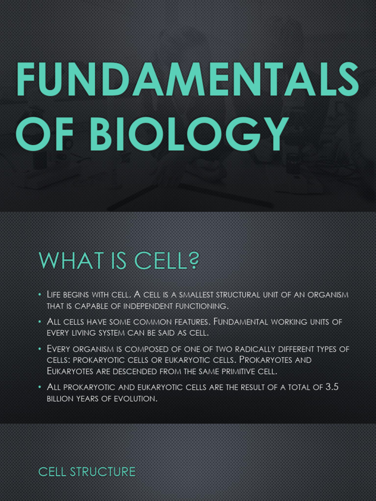 Fundamentals of Biology | PDF | Rna | Translation (Biology)