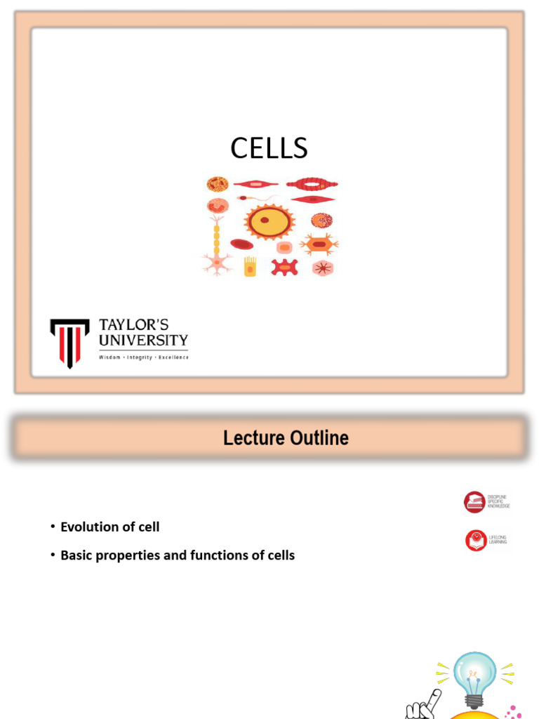 Evolution and Functions of Cells | PDF | Cell (Biology) | Life