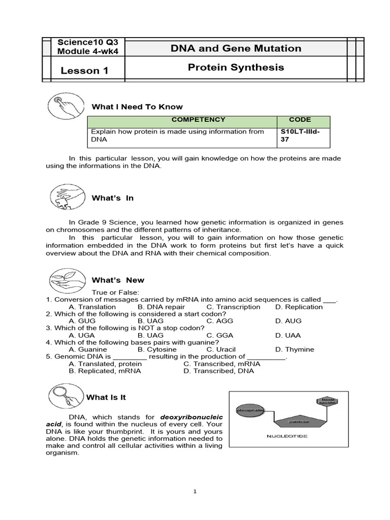 Science 10 Q3 Module 4 Week 5 Pdf Translation Biology Rna