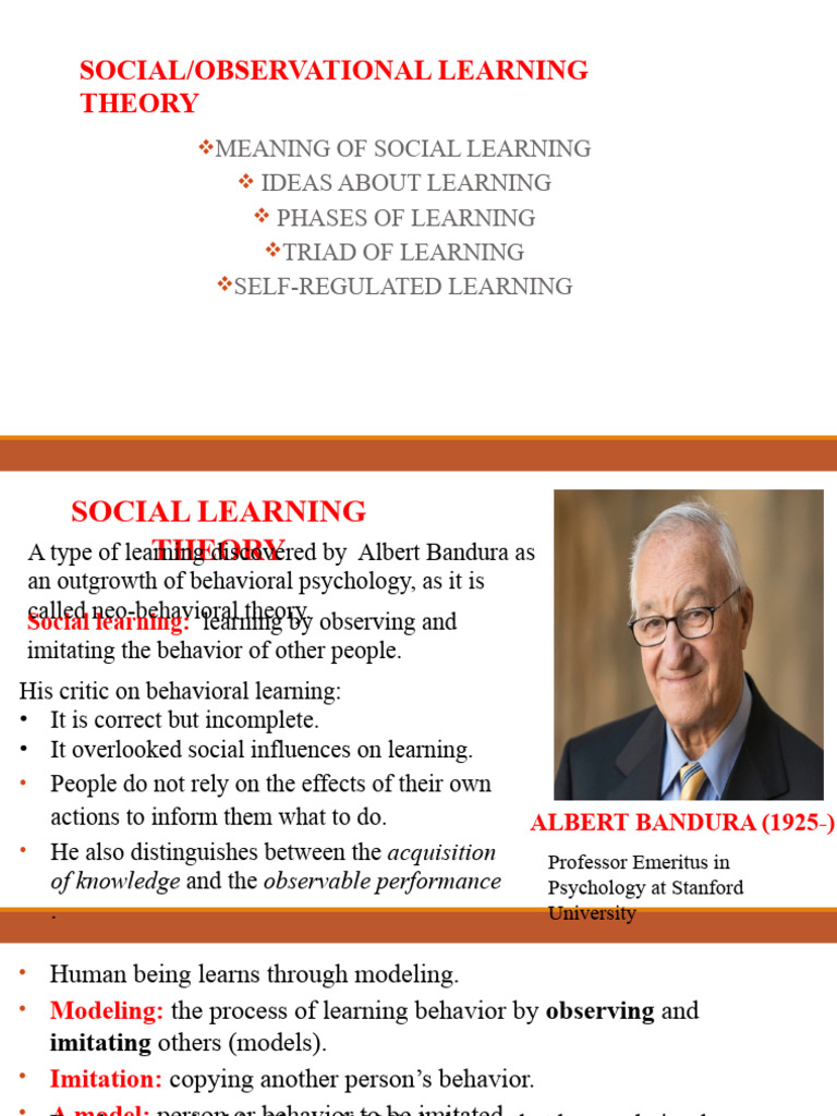 Social Learning | PDF | Learning | Imitation