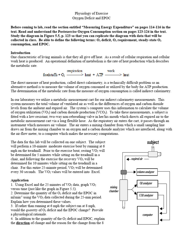 Oxygen Deficit, EPOC | PDF | Physiology | Chemistry
