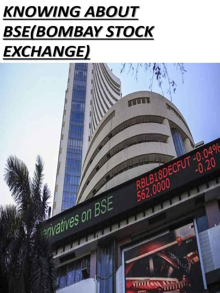 Bse Project Class 11 | PDF | Stock Market Index | Market Capitalization