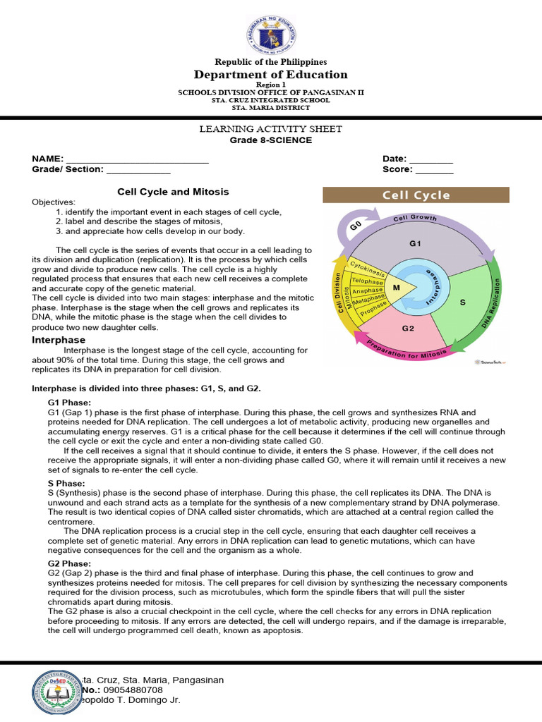 Grade 8 Mitosis | PDF | Mitosis | Cell Cycle