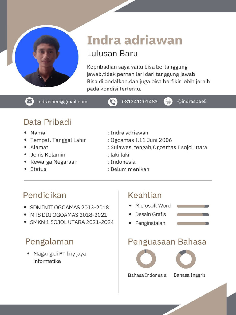 CV Indra Adriawan | PDF