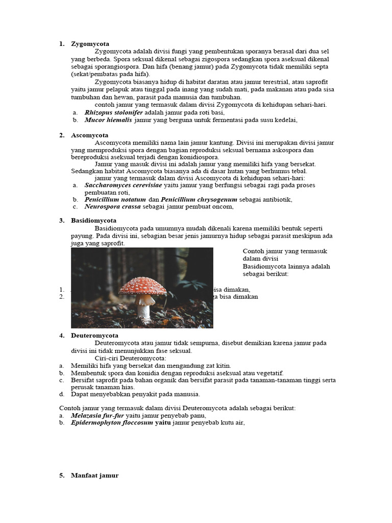 Klasifikasi Jamur | PDF | Sains & Matematika