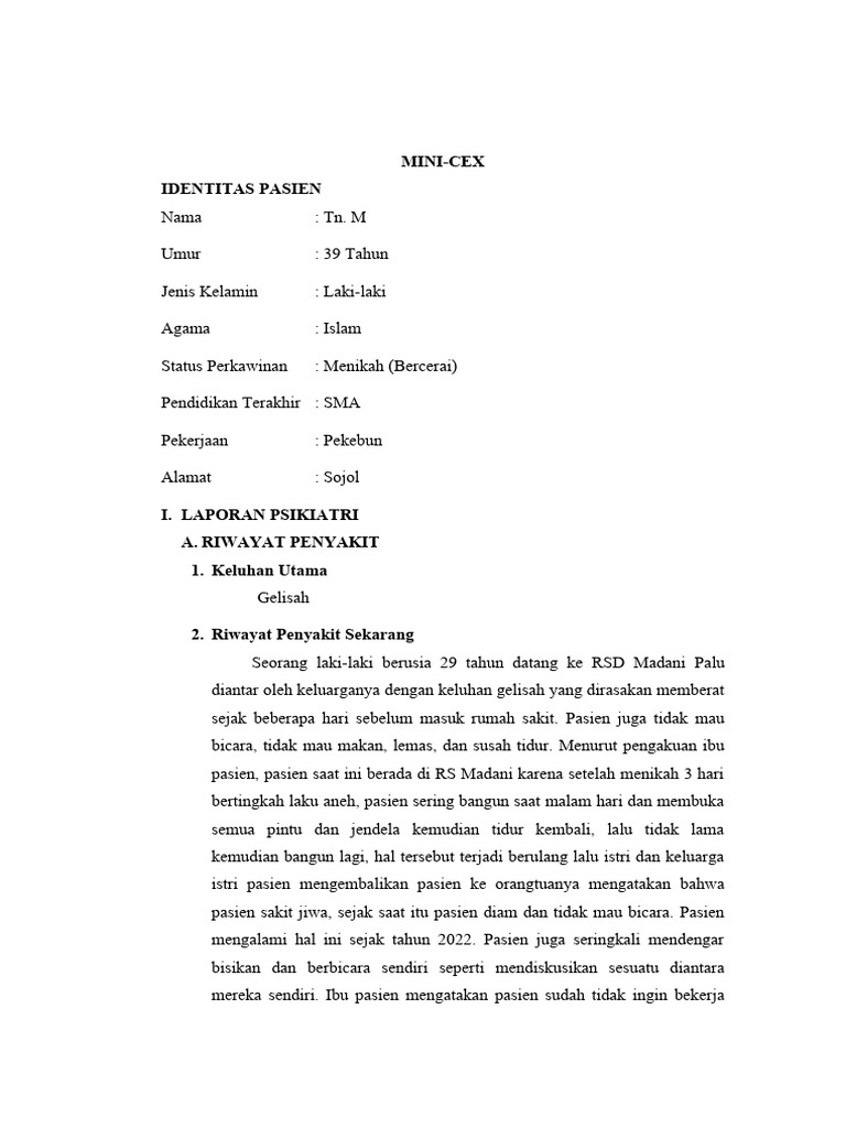 Minicex Pdf