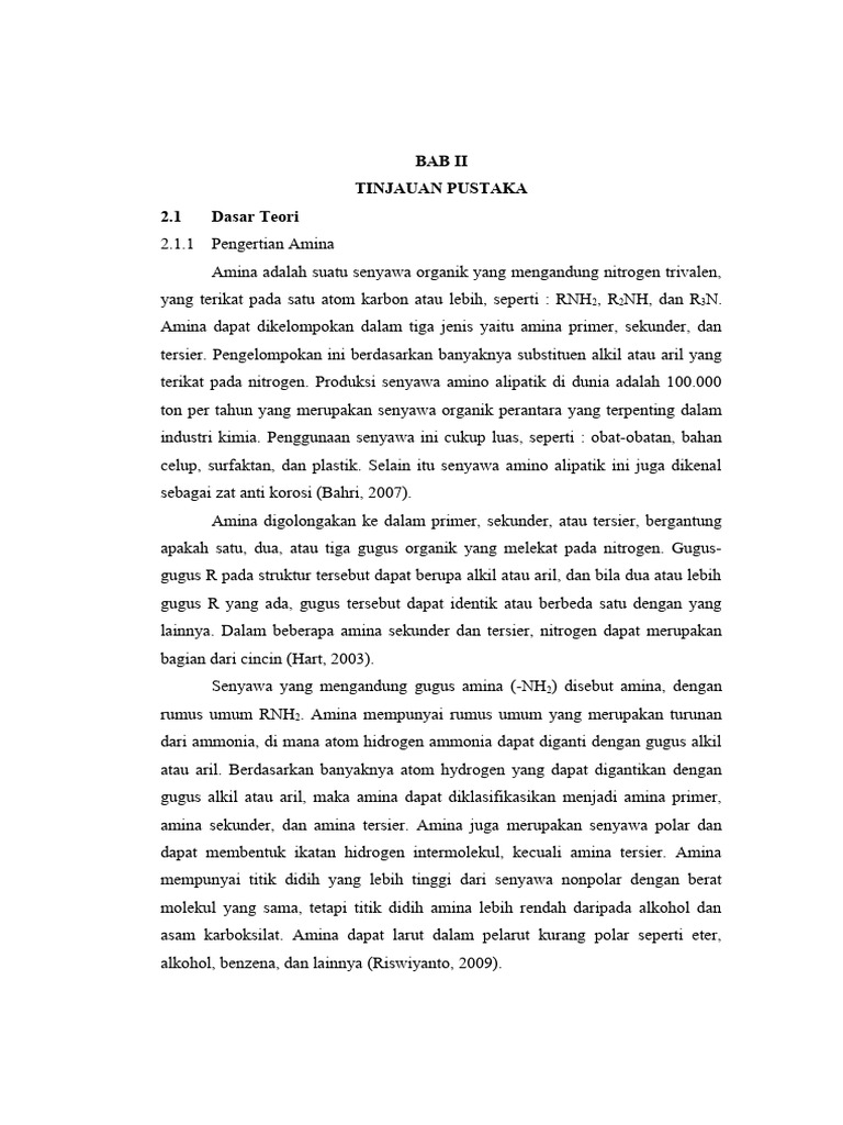 Bab 2 Amina Kimor | PDF