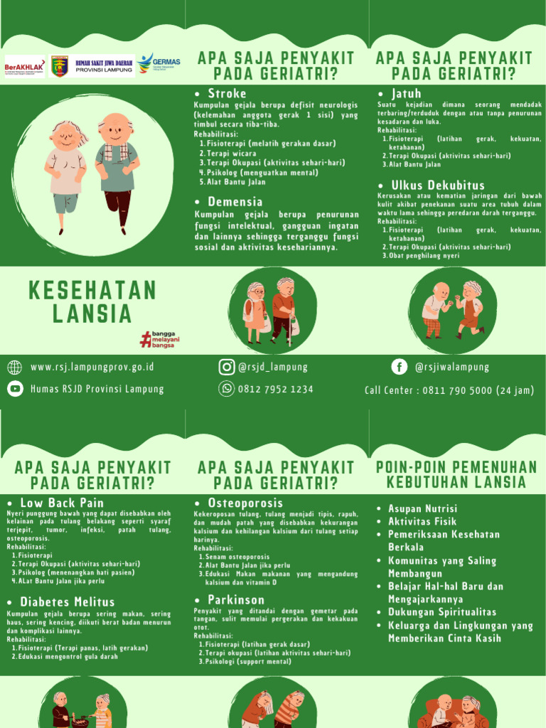 Leaflet Kesehatan Lansia | PDF