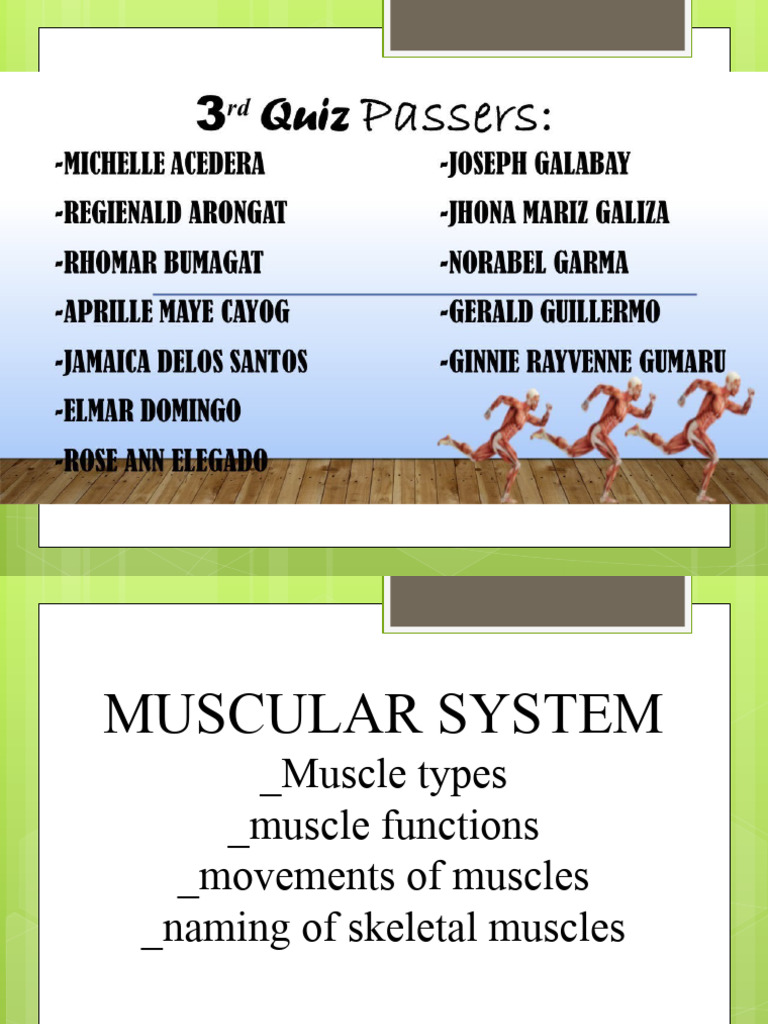 Muscular System | Download Free PDF | Human Leg | Anatomical Terms Of ...