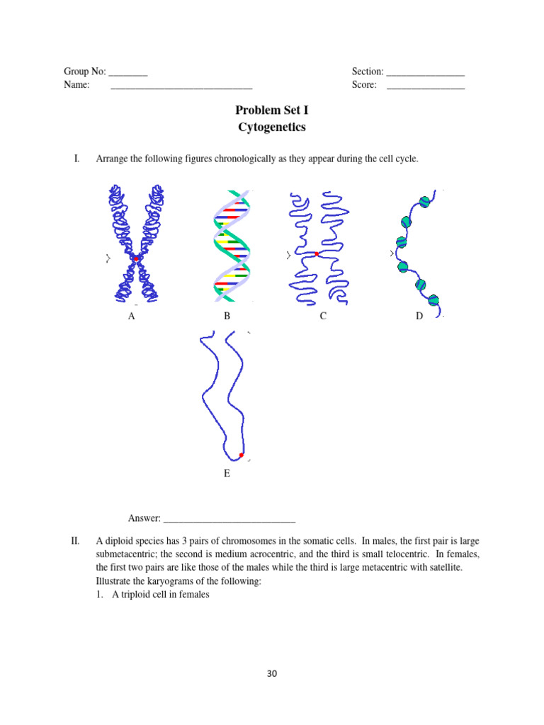 Problem Set I-1 2 | PDF | Meiosis | Ploidy