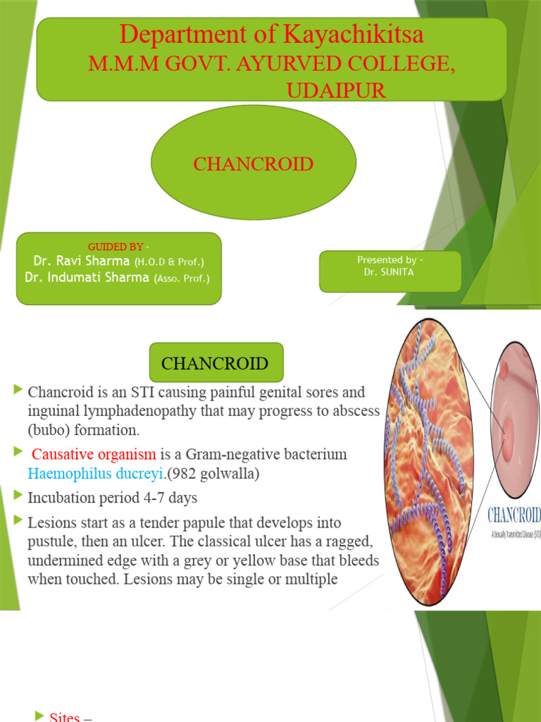 Chancroid J Sunita | PDF | Causes Of Death | Immunology