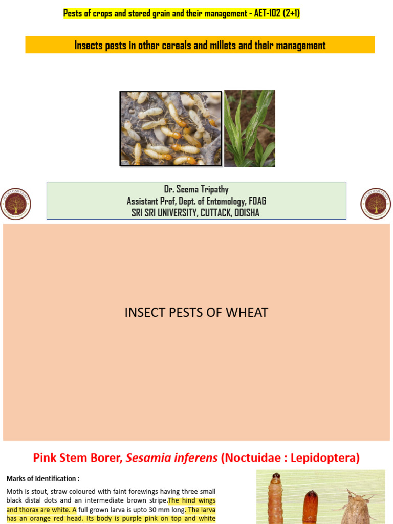 Lect 4 & 5 | PDF | Pupa | Fly Lect 4 & 5 | PDF | Pupa | Fly