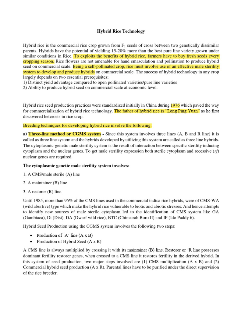 Hybrid Rice | PDF | Hybrid (Biology) | Reproduction