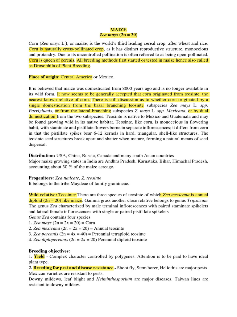 Maize | PDF | Maize | Plant Breeding