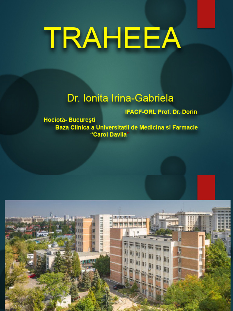 Trahee | PDF
