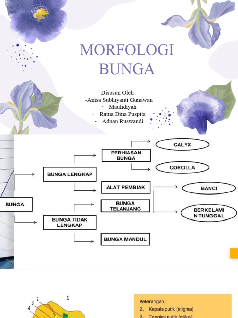 Morfologi Bunga | Download Free PDF | Microsoft Power Point ...