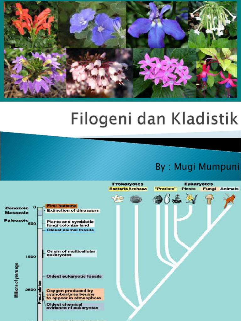 07 - Cladistik Dan Filogenetik - Taksonomi Tumbuhan Tinggi | PDF
