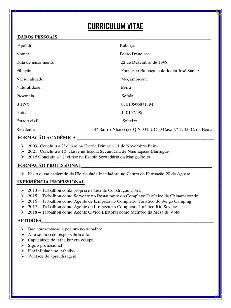 Curriculum Vitae V | PDF