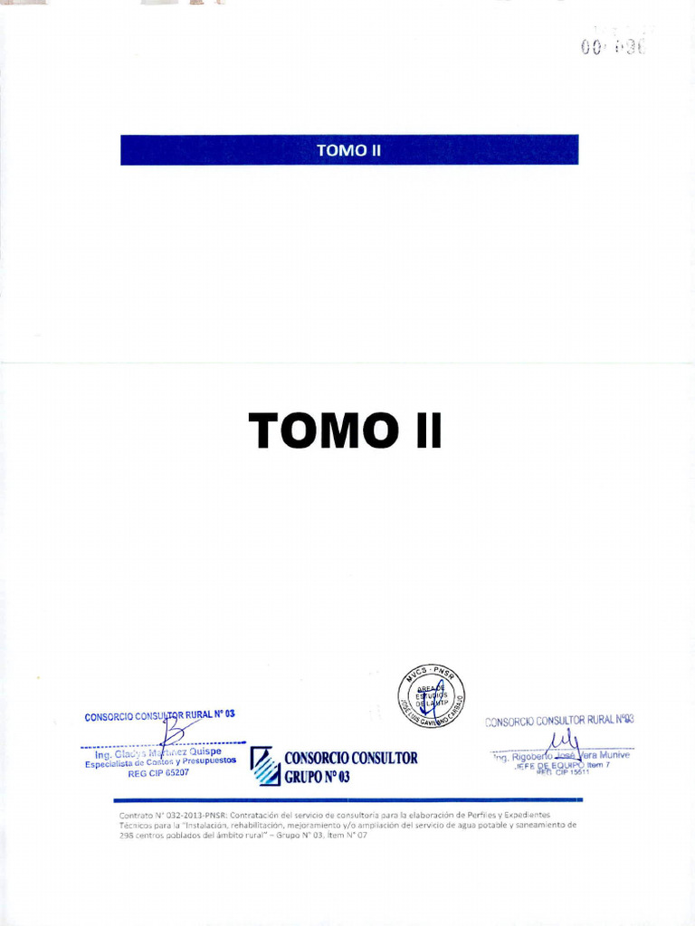 Tomo Ii | PDF