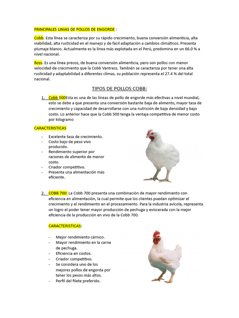 Líneas de Pollos de Engorde Cobb y Ross | PDF | Cocina, comidas y vino