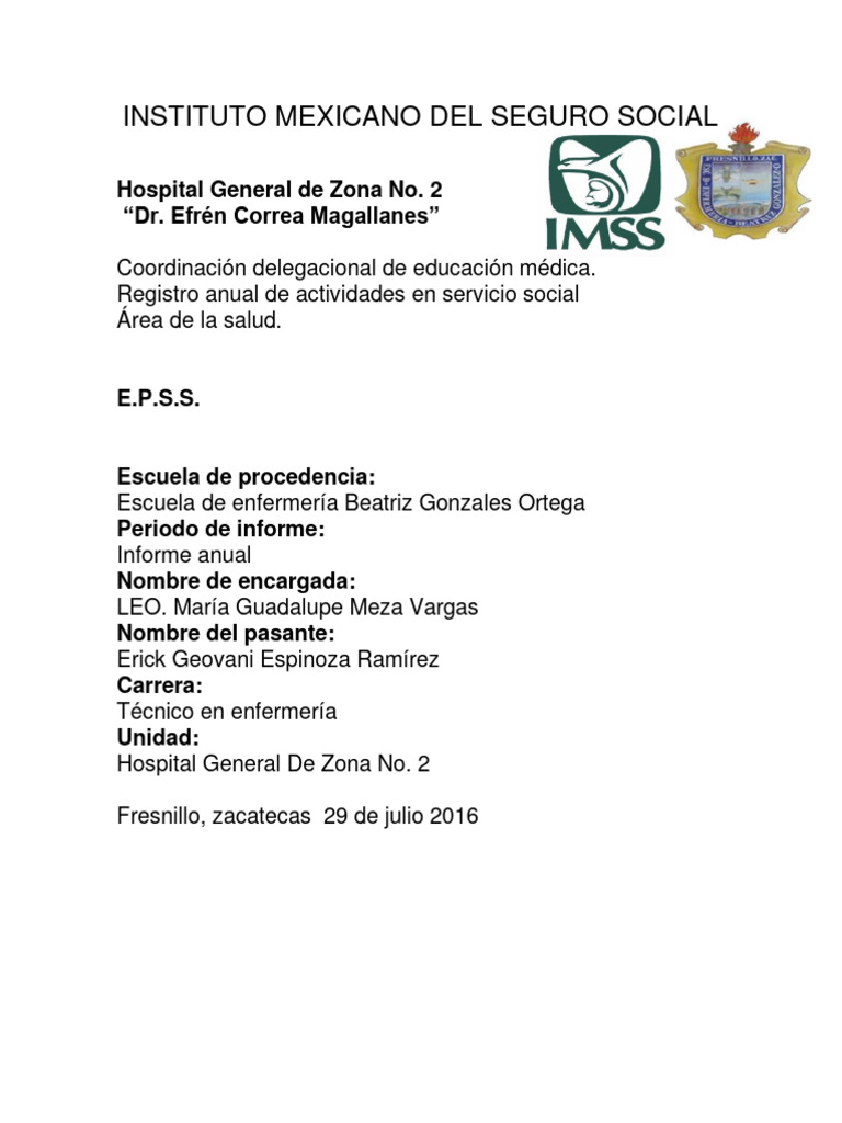 Informe Anual Ejemplo | PDF