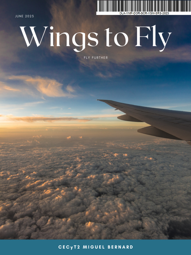 Class Project | PDF | Wing | Flap (Aeronautics)