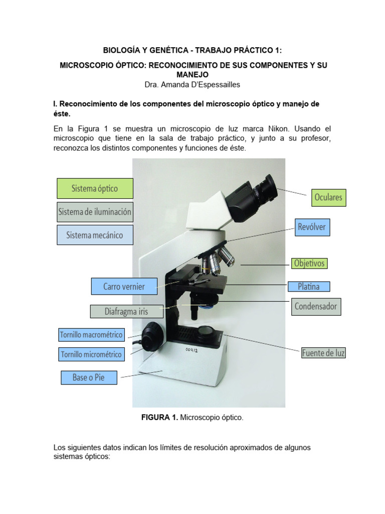 TP 1 Microscopía | PDF | Óptica | Lente de la cámara