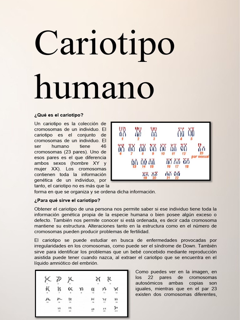 Cariotipo Humano | PDF | Cariotipo | Cromosoma